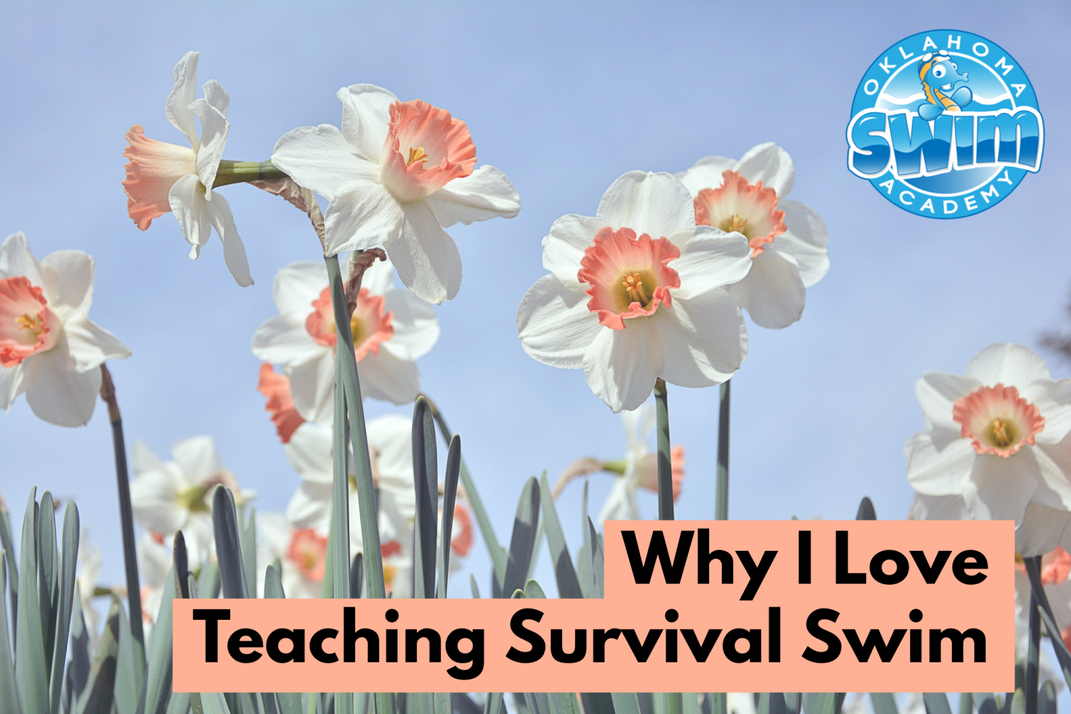 Daffodil Principle - Survival Swim Development Network